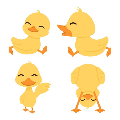 Ducks Royalty Free Vector Image - VectorStock