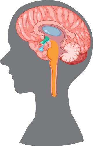 Man brain injury character Royalty Free Vector Image