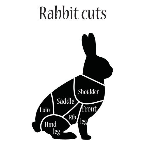 Engraving rabbit retro Royalty Free Vector Image