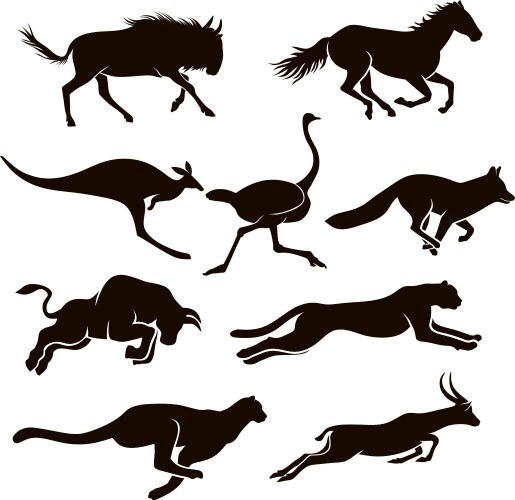 Set of black animals silhouettes Royalty Free Vector Image