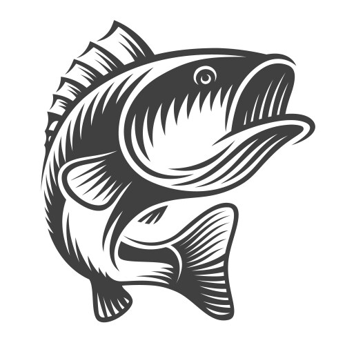 Bass Vector Images (over 87,000)