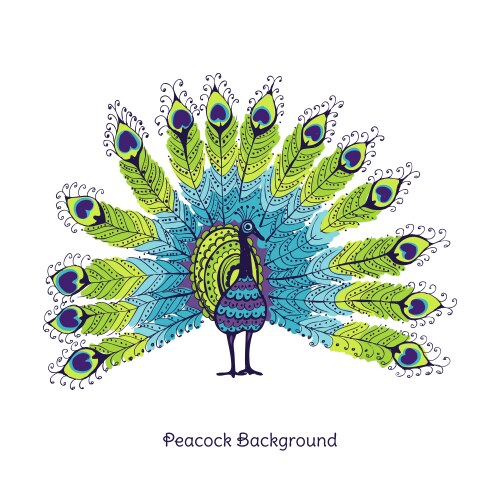 Peacock Vector Images (over 16,000)