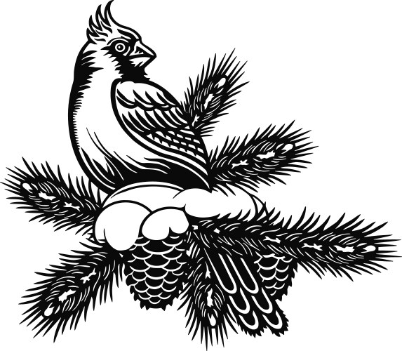Black White Cardinal Vector Images (over 710)