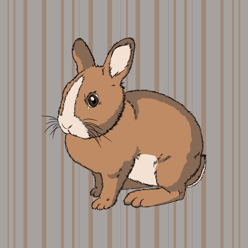 Rabbit Sitting Vector Images (over 6,600)