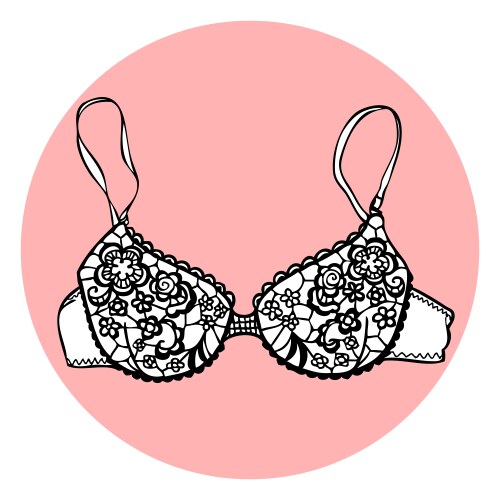 Lacy sexy bra Royalty Free Vector Image - VectorStock