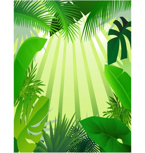 Tropical forest background Royalty Free Vector Image