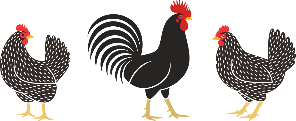 Poultry Royalty Free Vector Image - VectorStock