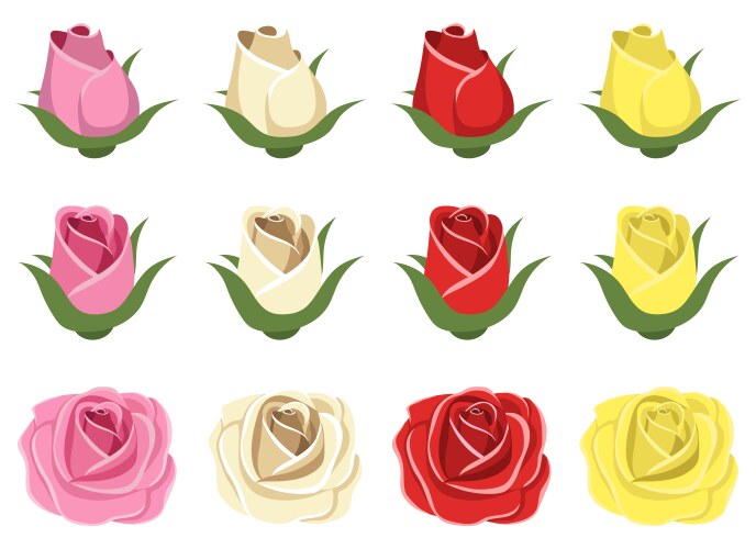 Roses design isolated on white background Vector Image