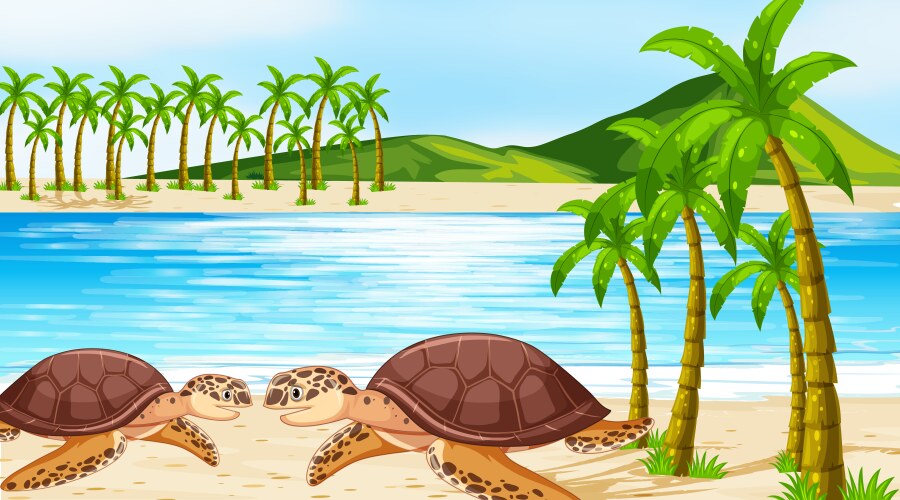 Tropical beach background Royalty Free Vector Image