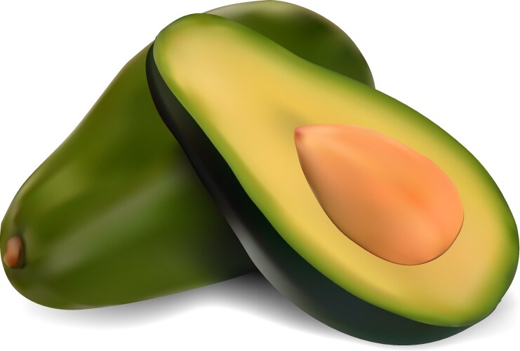 Avocado Vector Images (over 49,000)