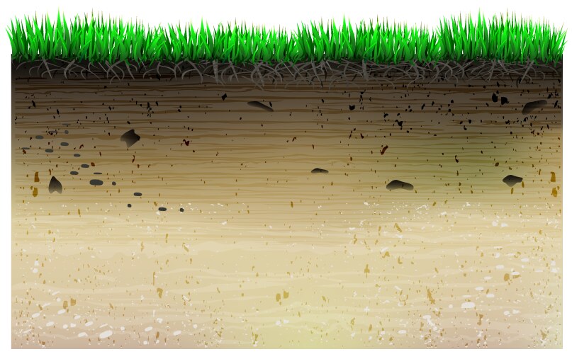 Soil layer infographic earth geology formation Vector Image