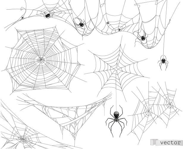 Spider Web Vector Images (over 36,000)