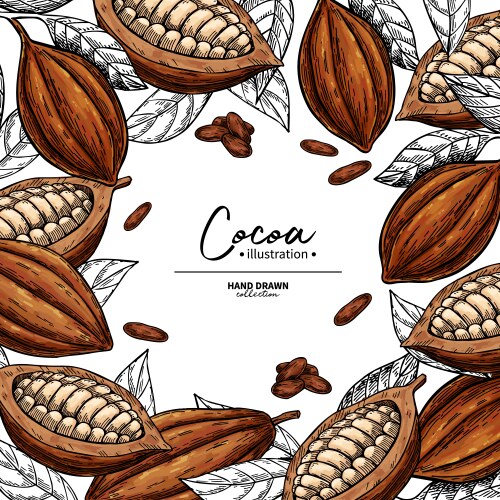 Cocoa frame superfood drawing template Royalty Free Vector