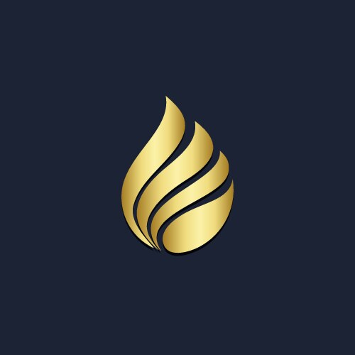 Abstract curve droplet gold logo Royalty Free Vector Image