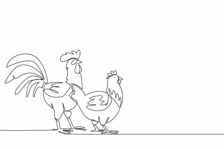 Continuous one line drawing mother hen standing Vector Image