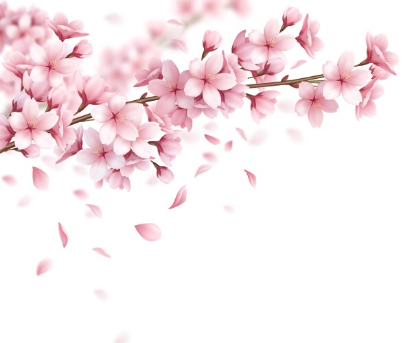 Sakura Vector Images (over 36,000)