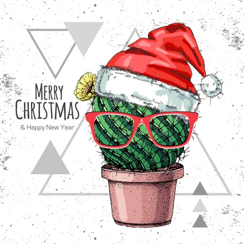 Chullo hat Royalty Free Vector Image - VectorStock