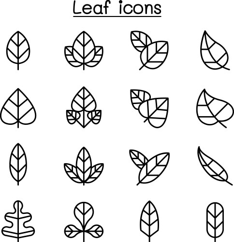 Tree and leaf line icons set natural stroke Vector Image