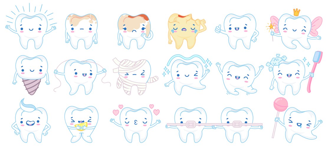 Tooth anatomy chart orthodontist human teeth loss Vector Image