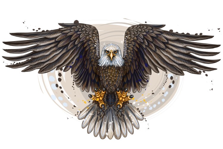 Flying big eagle Royalty Free Vector Image - VectorStock