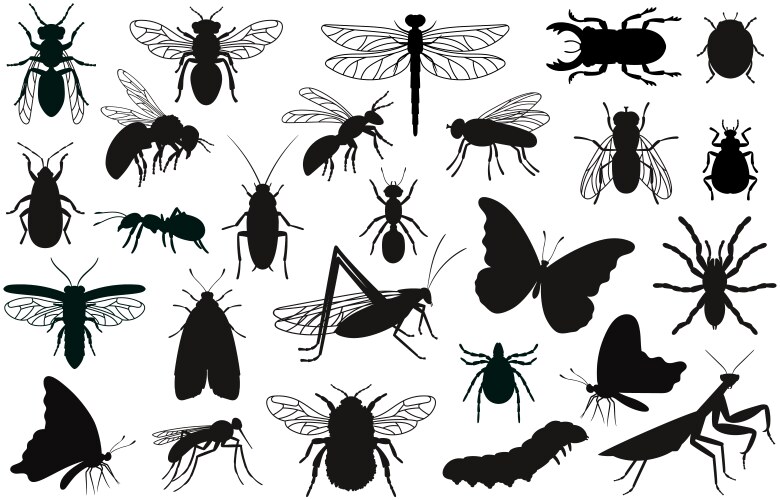 Insect Outlines Vector Images (over 55,000)