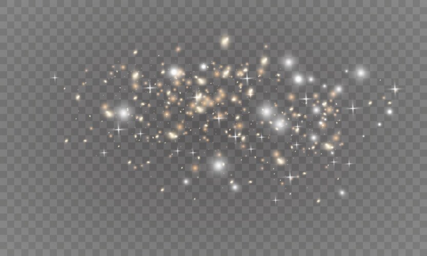 Sparkling magical dust particles Royalty Free Vector Image