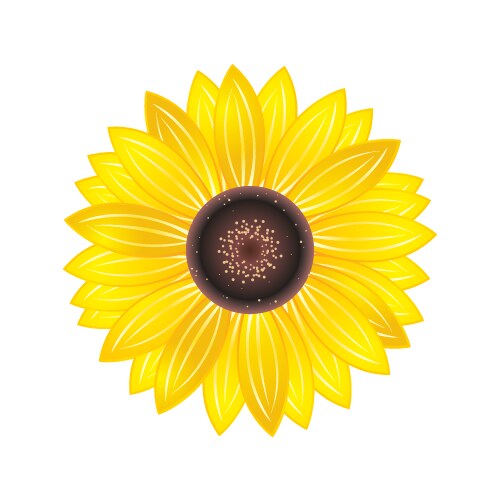 Sunflower Vector Images (over 53,000)
