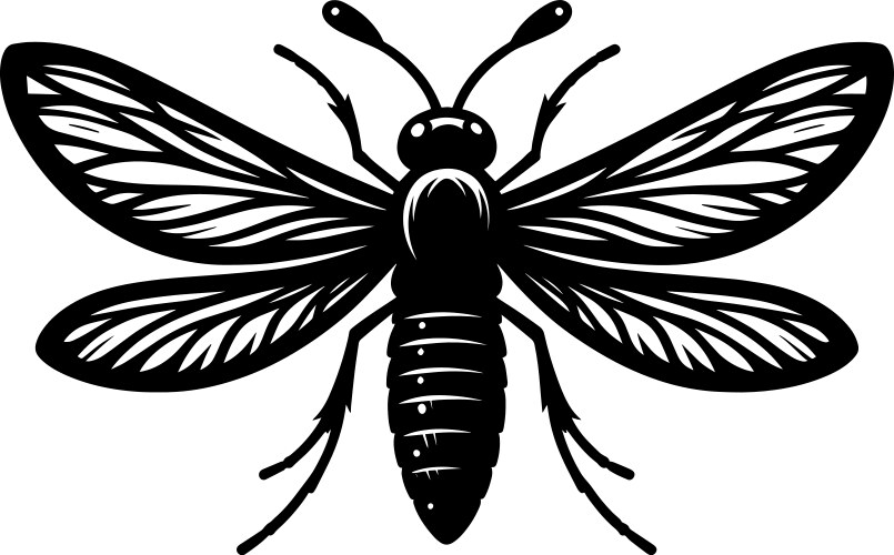 Beautiful firefly insect silhouette isolated Vector Image