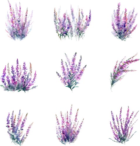 Heather Vector Images (over 1,000)