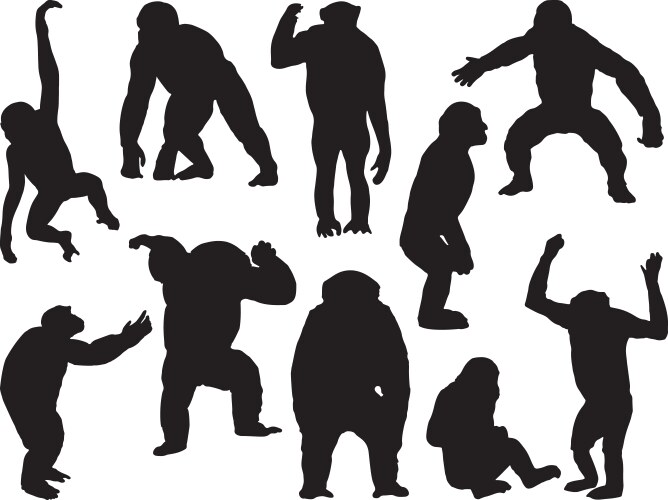 Chimpanzee Vector Images (over 16,000)