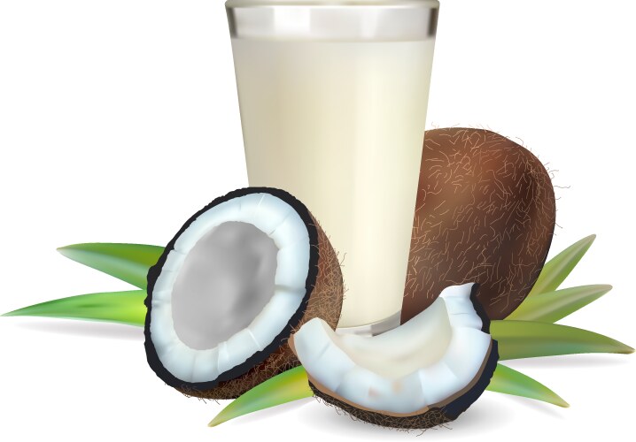 Coconut Milk Vector Images (over 9,000)