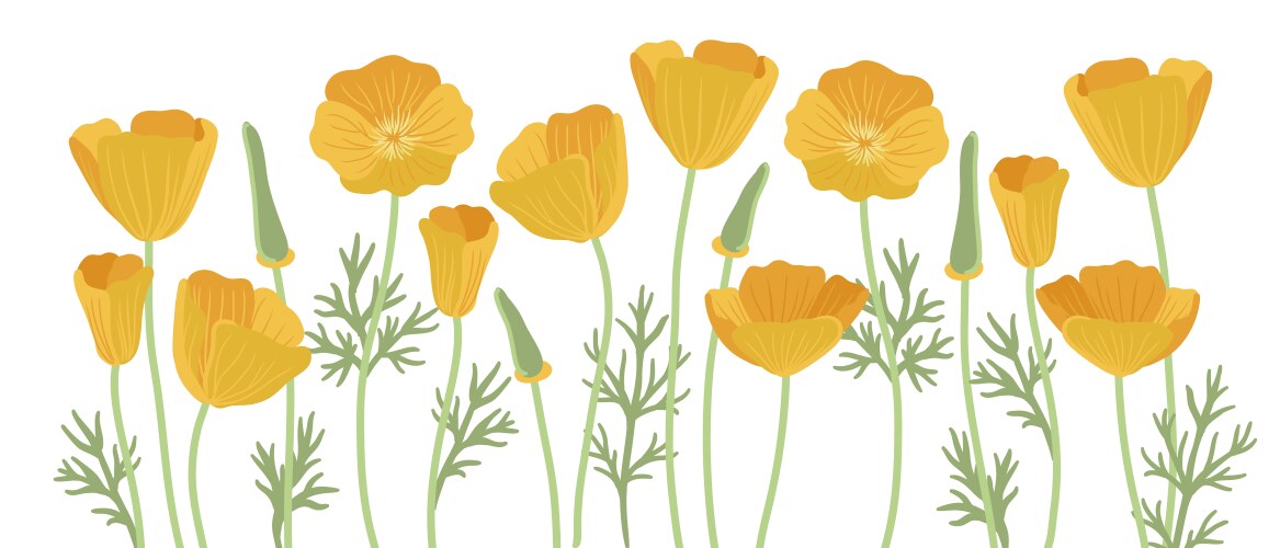 Golden Poppy Field Royalty Free Vector Image - VectorStock