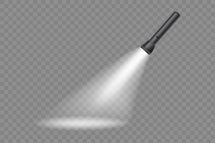 Flashlight on a transparent background shine Vector Image