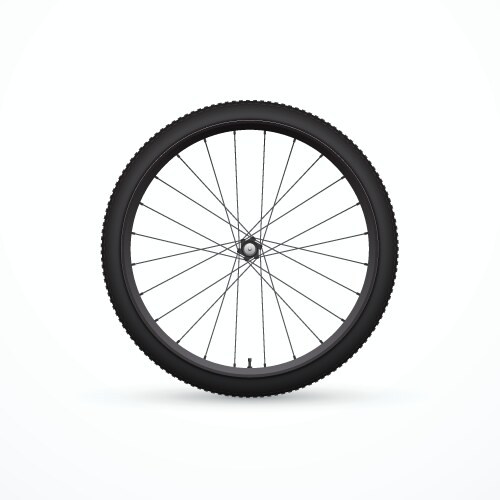 Bicycle wheel Royalty Free Vector Image - VectorStock