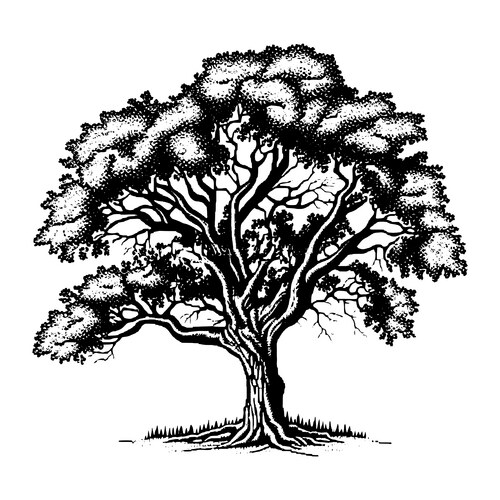 Tree of Life Sketch (63510659) – Royalty-Free Vector | VectorStock
