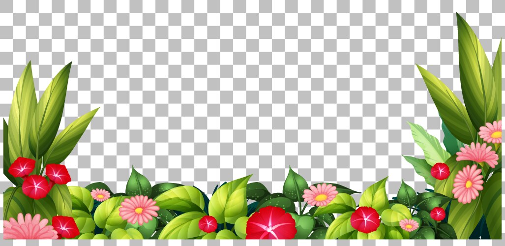 Flower frame template on transparent background Vector Image