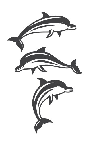 Dolphin Vector Images (over 34,000)