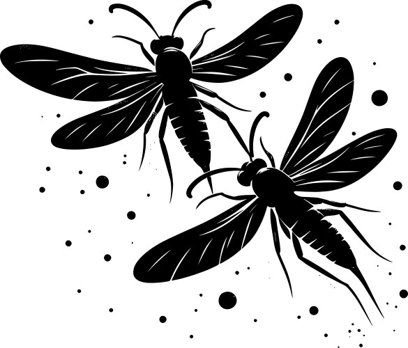 Beautiful firefly insect silhouette isolated Vector Image