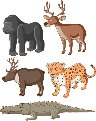 Wild animals Royalty Free Vector Image - VectorStock