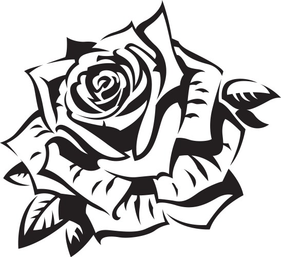 Rose Royalty Free Vector Image - VectorStock