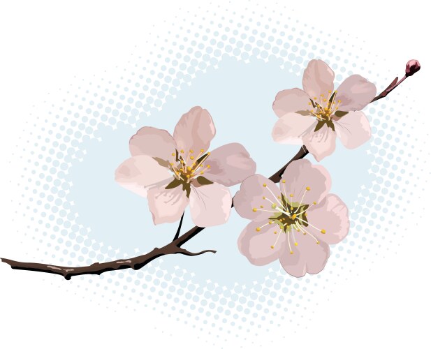Cherry Blossom Vector Images (over 35,000)