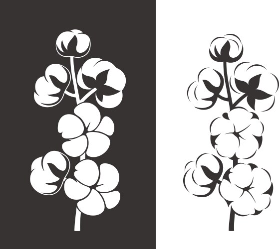 Cotton Plant Vector Images (over 7,000)