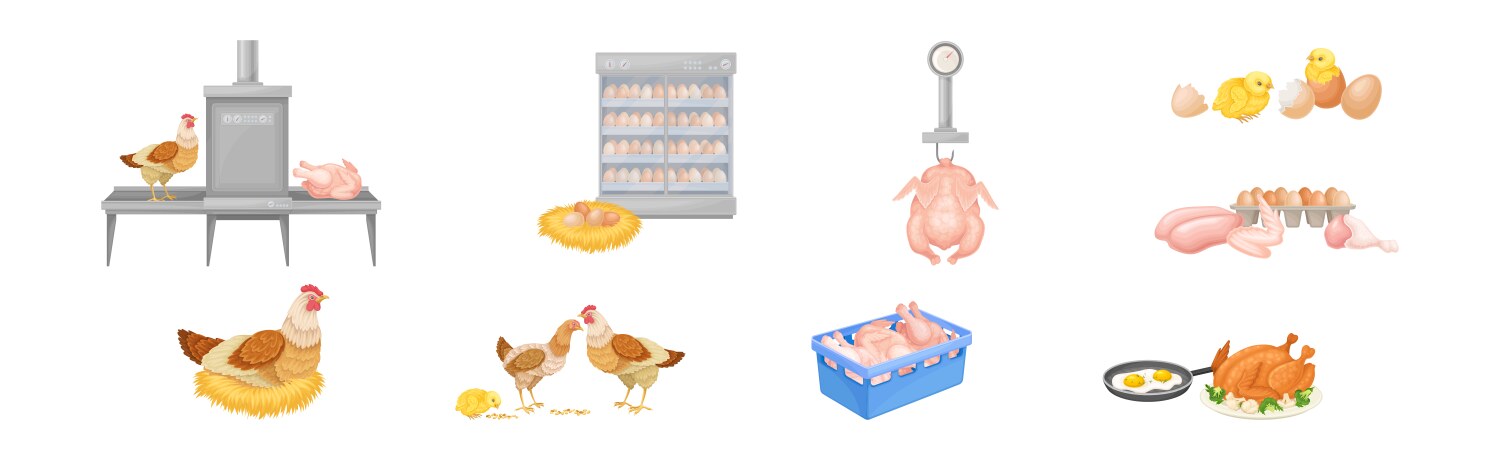 Packaged Meat Vector Images (over 14,000)