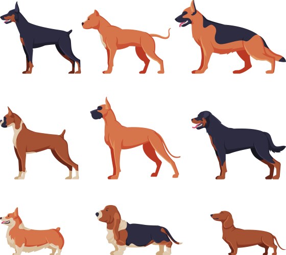 Dog set Royalty Free Vector Image - VectorStock