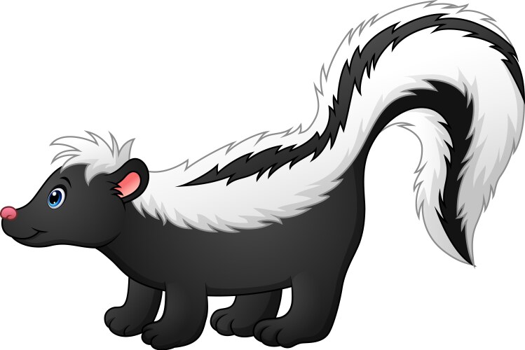 Cute skunk cartoon Royalty Free Vector Image - VectorStock