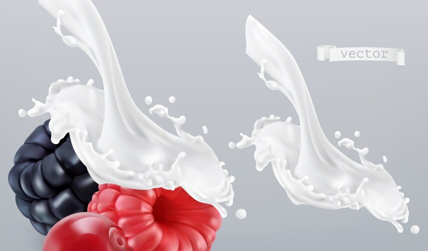 Milk splash yogurt with fruits and berries Vector Image