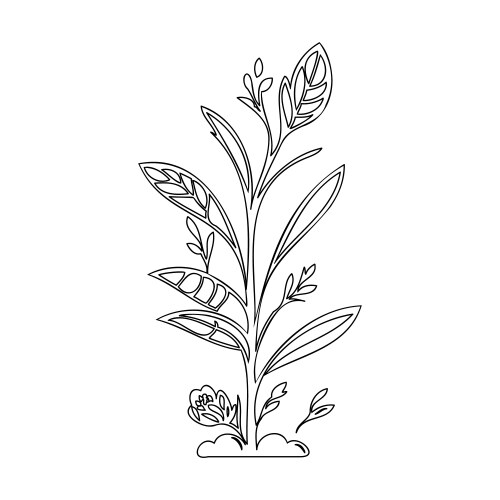 Flower plant outline sketch Royalty Free Vector Image