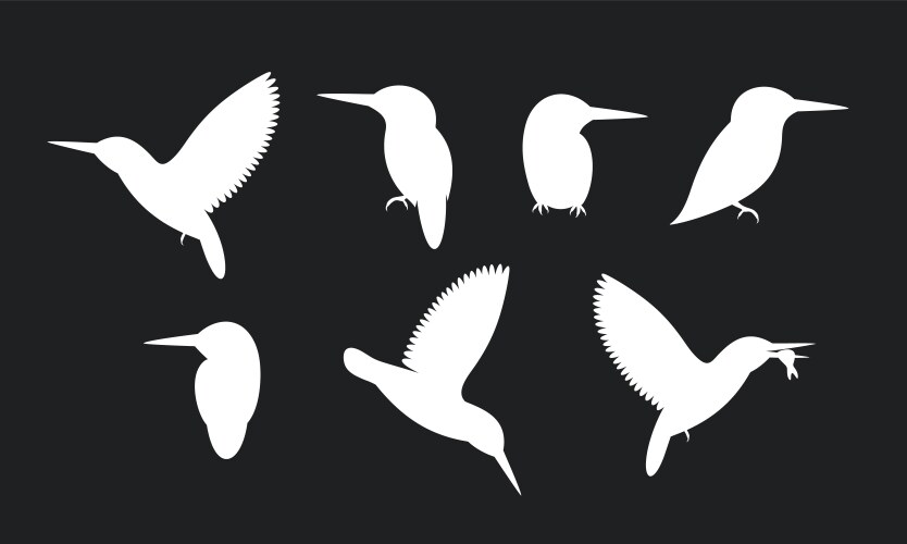 Salak Royalty Free Vector Image - VectorStock