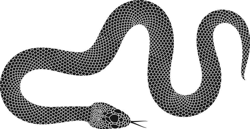 Snake Royalty Free Vector Image - VectorStock