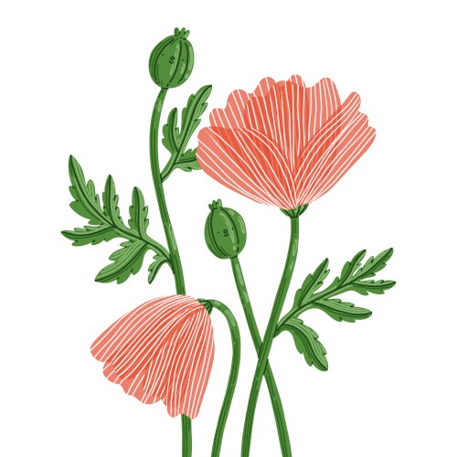 Happy flower characters bouquet Royalty Free Vector Image